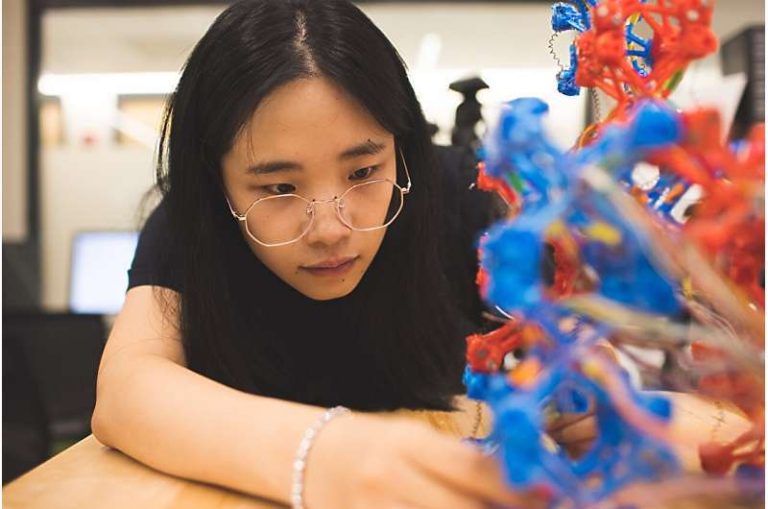 Scientists develop shape-shifting robot helpers inspired by ants