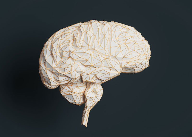 Human brains naturally wired for advanced calculations using Bayesian ... Human brains naturally wired for advanced calculations using Bayesian ...