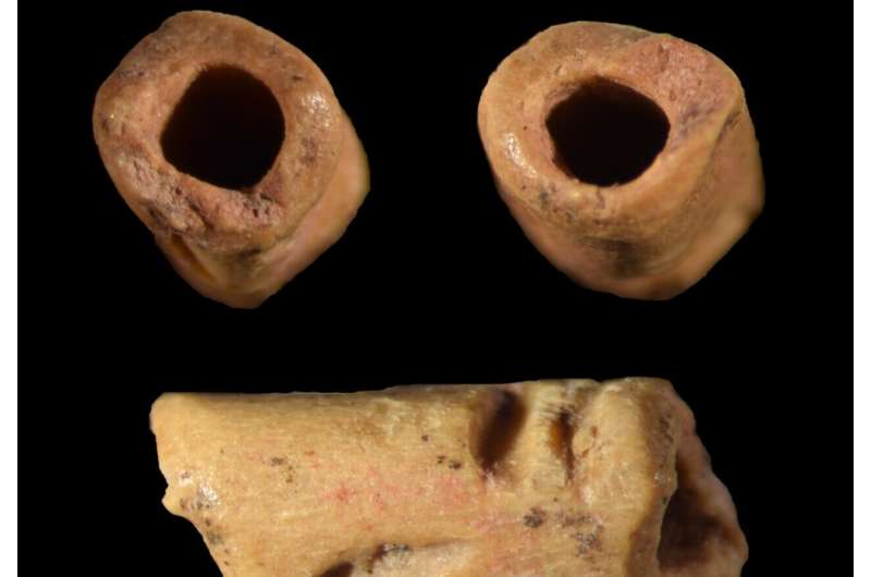 Scientists find America's oldest bead Scientists find America's oldest bead