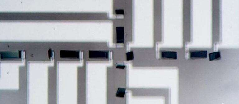 How Tiny Robots Learn To Work Together To Tackle Big Challenges
